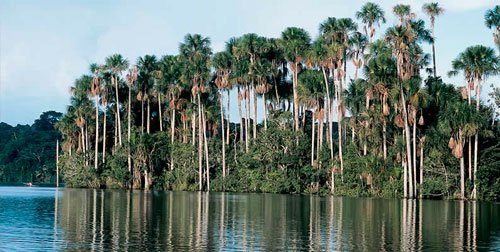 Inkaterra Reserva Amazónica Lodge Tour | Best Peru Tours