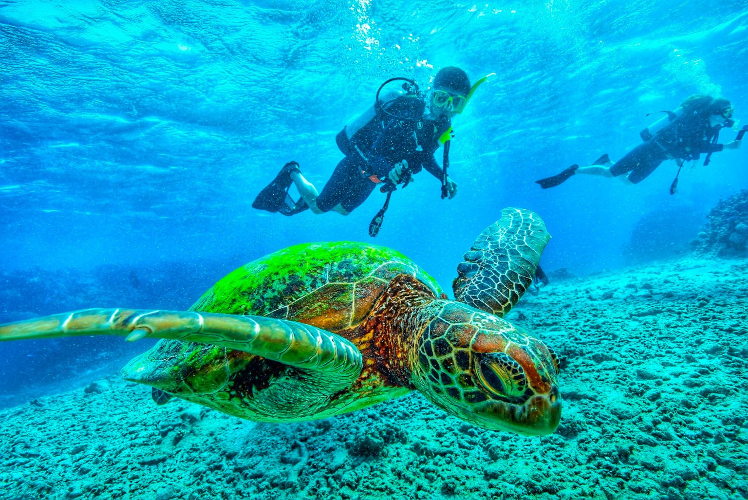Mysteries of Ecuador and the Enigmatic Galapagos Islands: Unraveling ...